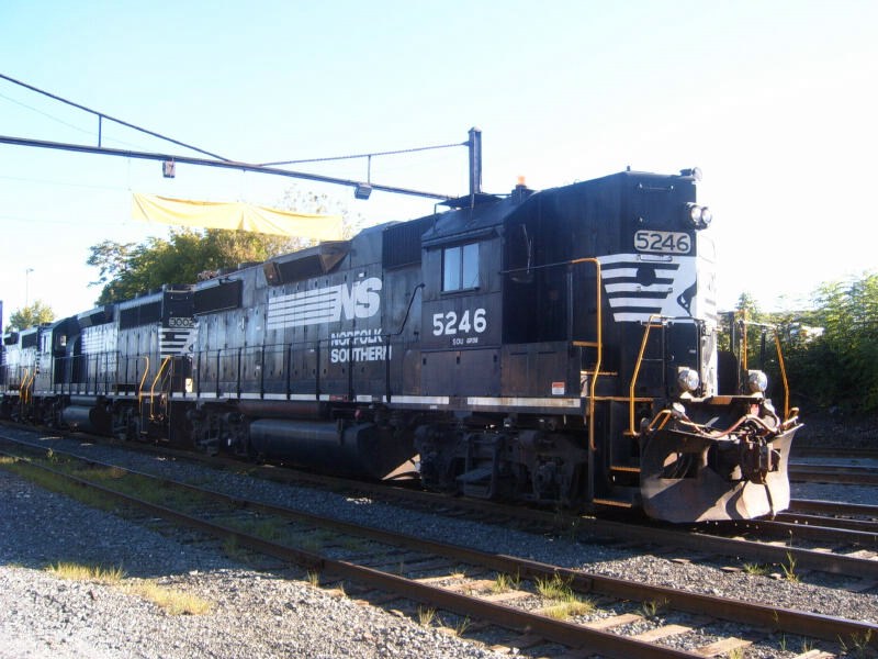 NS 5246